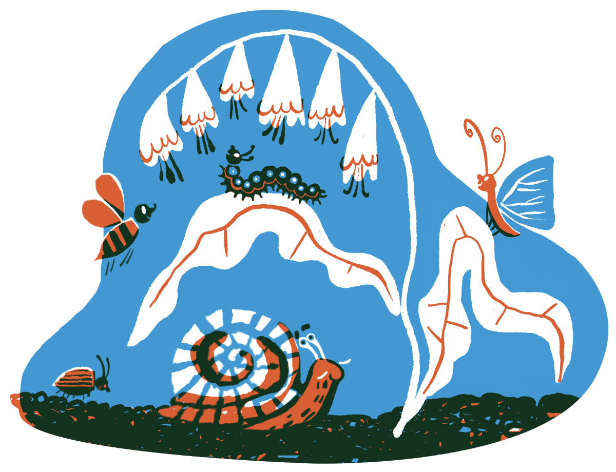 everything is pattern